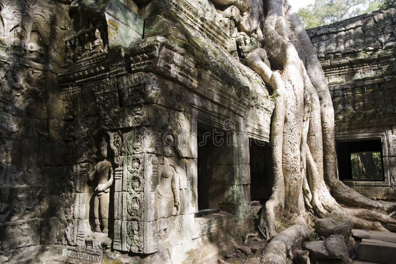 Tree Roots Angkor Temple Ruins Stock Photo - Image of civilisation ...