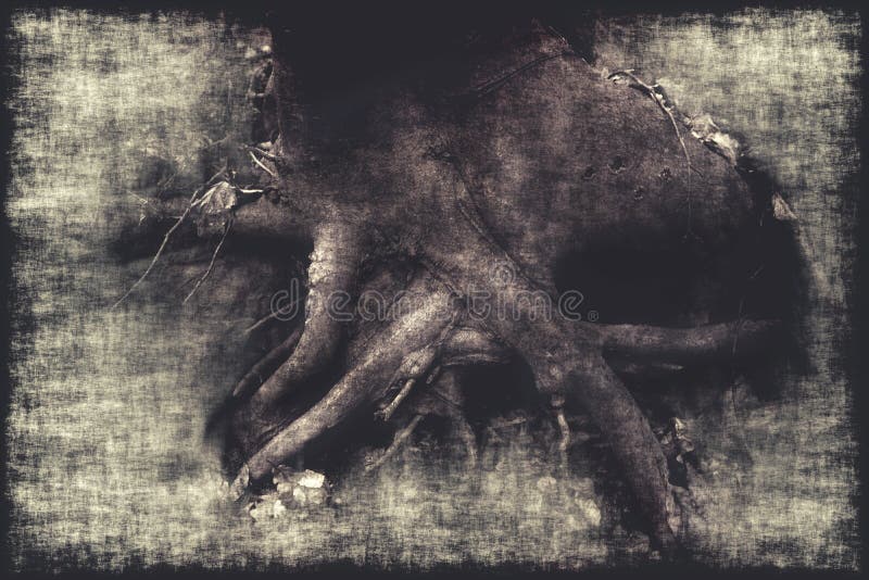 Tree Roots in an Artistic and Creative Closeup Stock Illustration ...