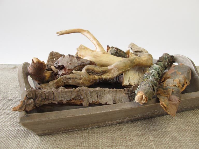 Tree roots, bark and twigs stock photo. Image of projekts - 61633026