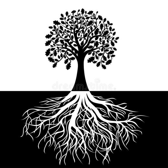 Black White Tree Roots Stock Illustrations – 5,875 Black White Tree ...