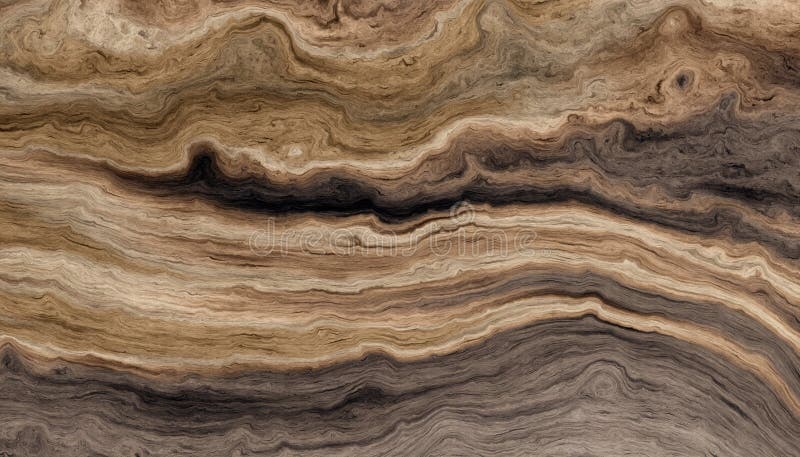 Roots Colored Stock Illustrations – 274 Roots Colored Stock ...