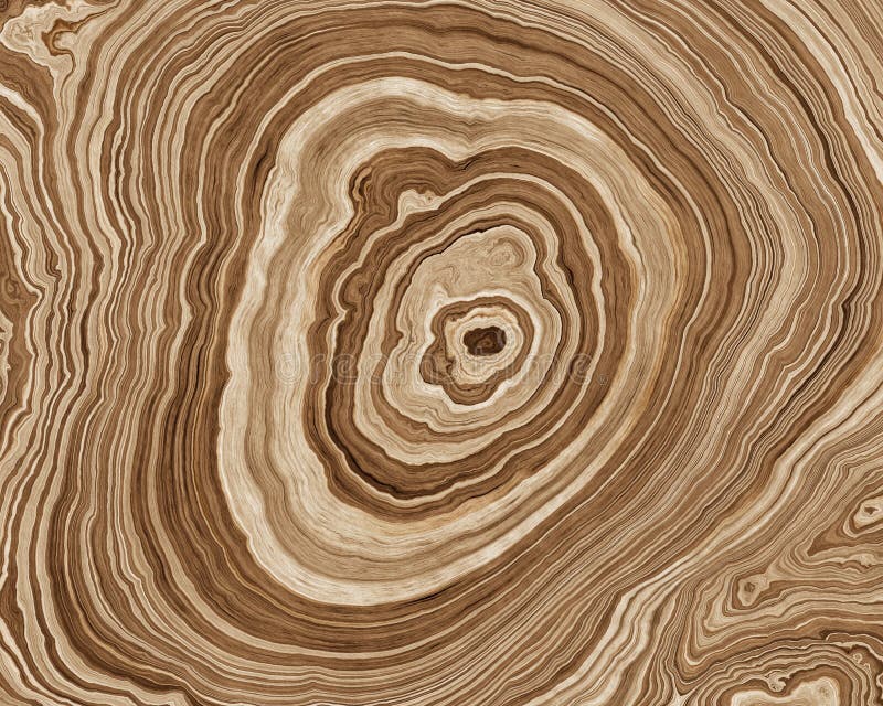 Tree Roots Colored Background Stock Illustration - Illustration of ...