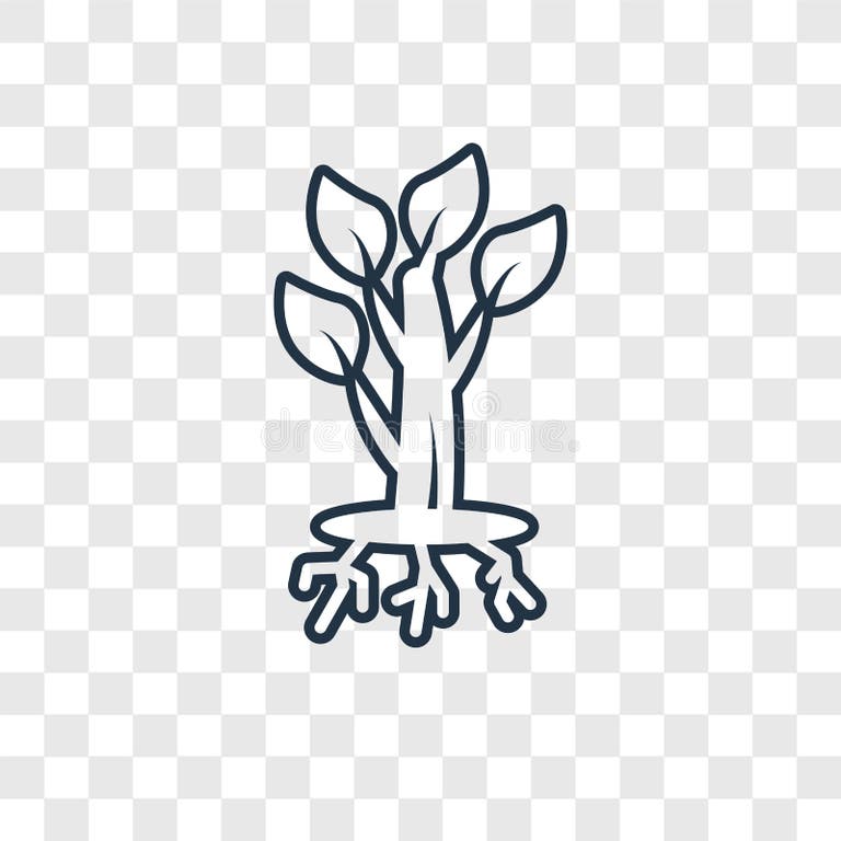 Background Roots Transparent Tree Stock Illustrations – 717 Background ...