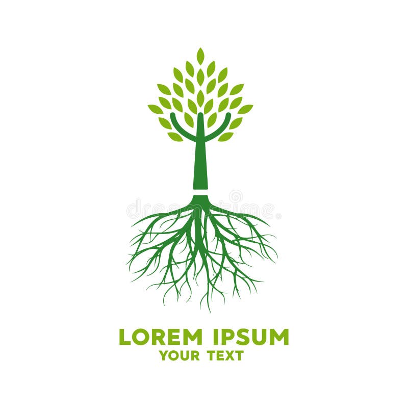 Tree with Roots and Foliage. Vector Illustration Stock Vector ...