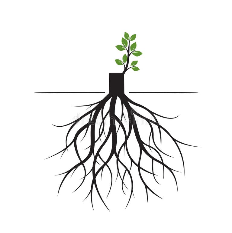 Plants Outline Stock Illustrations – 48,644 Plants Outline Stock ...