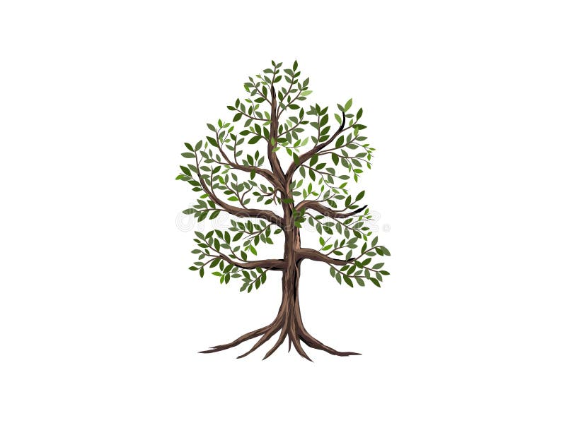 Tree and Roots Hand Drawing Stock Vector - Illustration of ...
