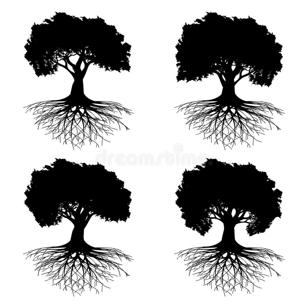 Olive Tree Roots Stock Illustrations – 325 Olive Tree Roots Stock ...