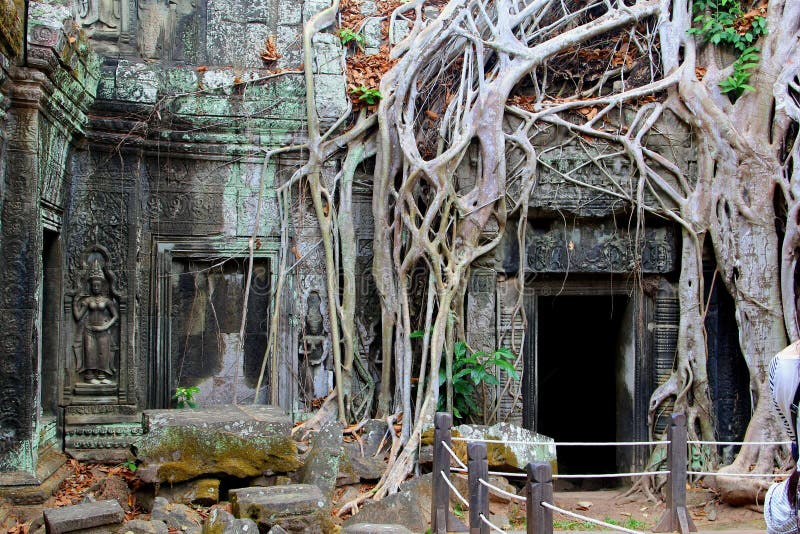 Picturesque Tree Roots Jungle Sculpture Ancient Ta Prohm Angkor Temple ...