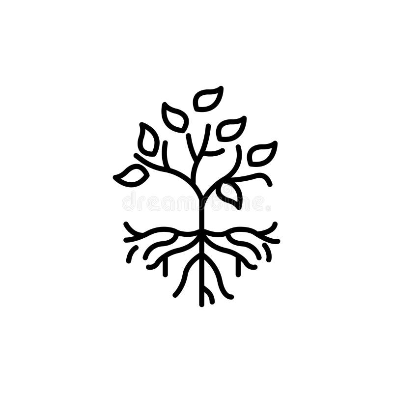 Tree with Roots and Leaves Icon Set. Root Leaf and Botanic Vector Stock ...