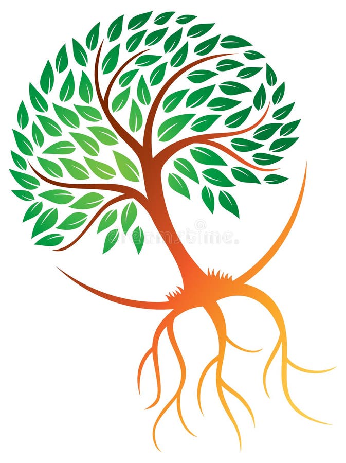 Tree Roots Logo stock vector. Illustration of green, branches - 37988351