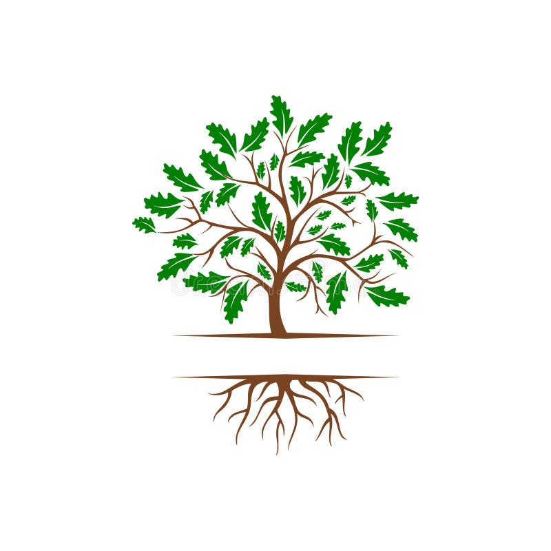 Tree Roots Logo Stock Illustrations – 1,629 Tree Roots Logo Stock ...