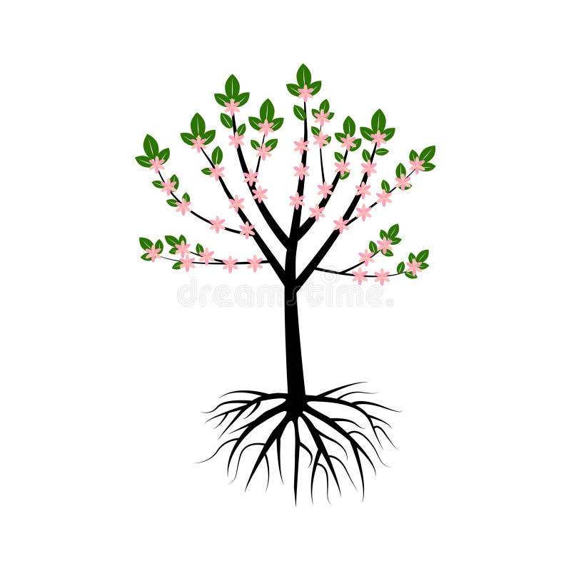Tree with Roots. Oak Tree. Vector Illustration Stock Vector ...
