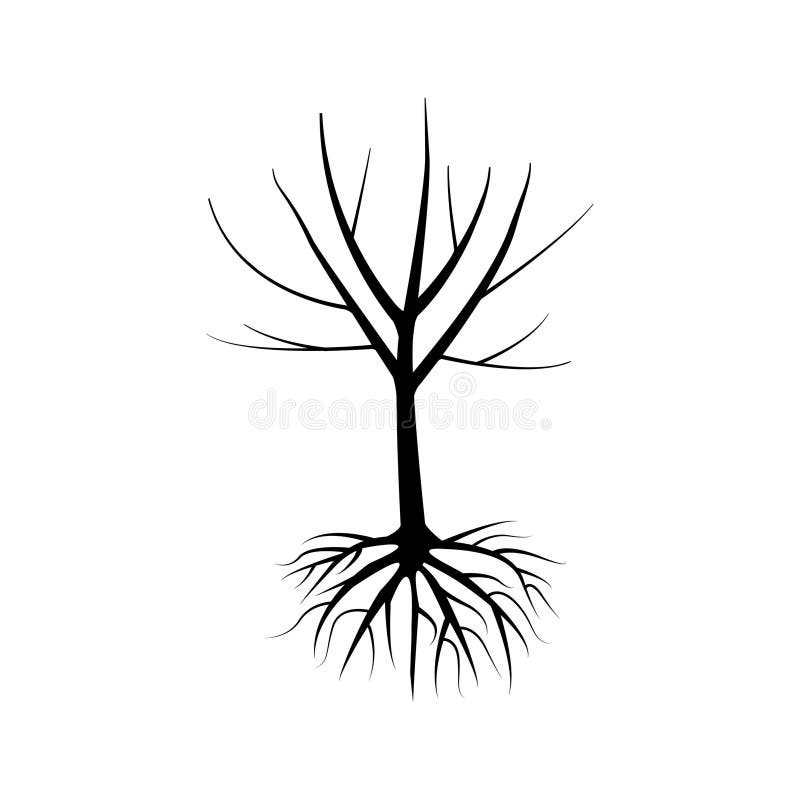 Tree with Roots. Oak Tree. Vector Illustration Stock Vector ...