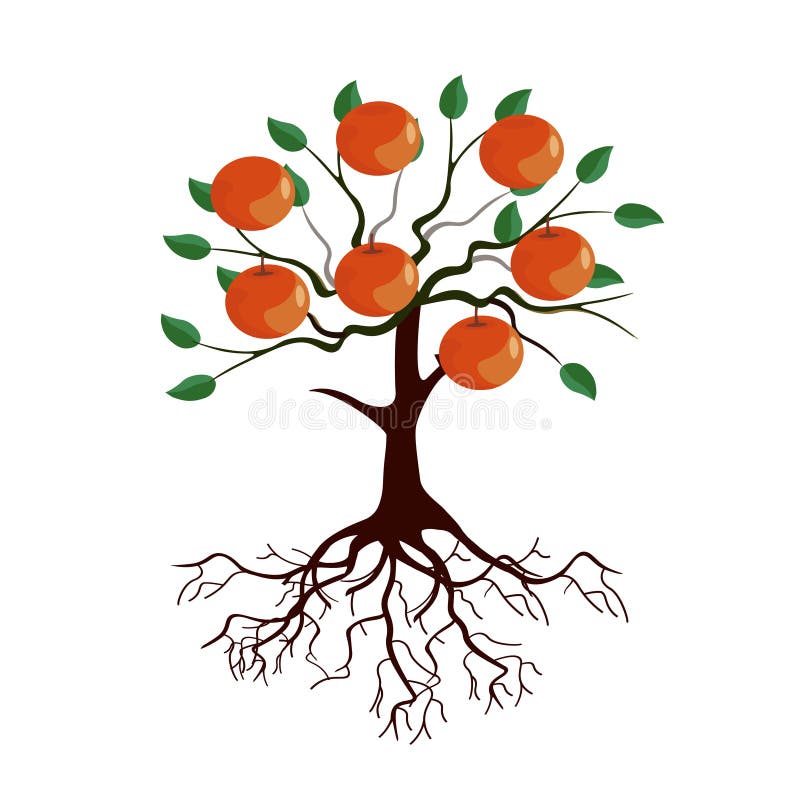 Ripe Apple Tree Stock Illustrations – 5,658 Ripe Apple Tree Stock ...