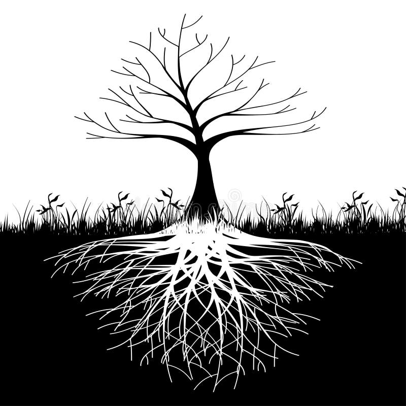 6+ Tree roots line art Free Stock Photos - StockFreeImages