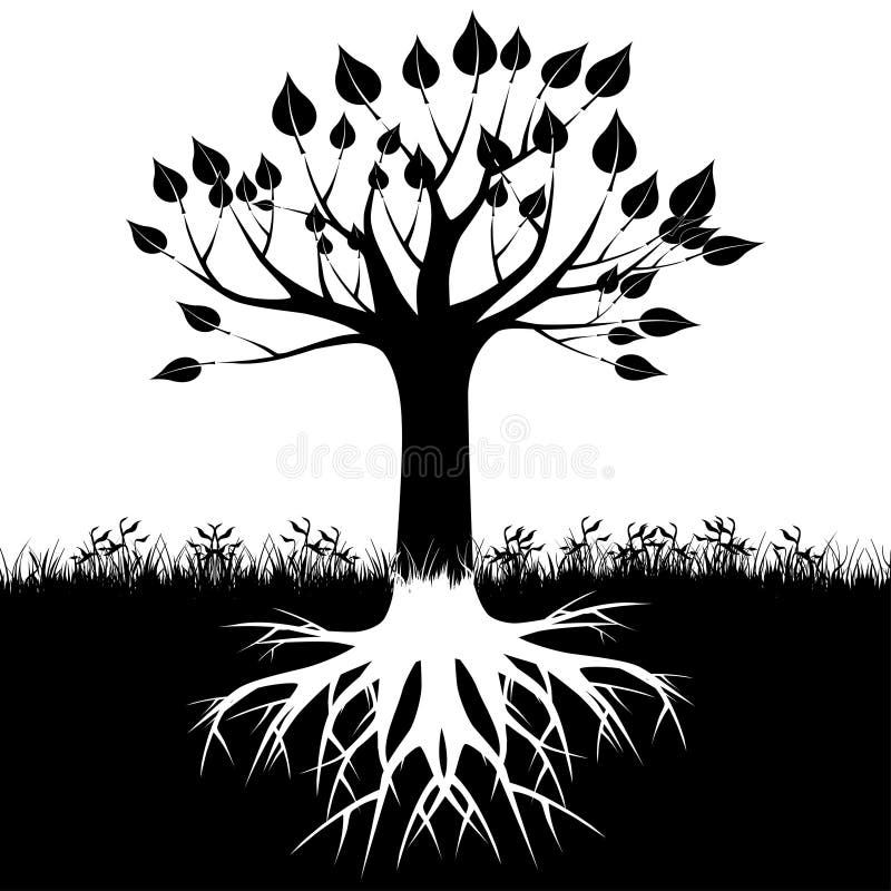 6+ Tree roots line art Free Stock Photos - StockFreeImages