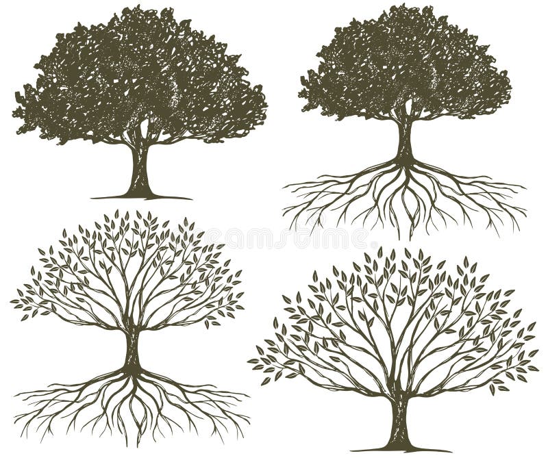 Tree Silhouette Png Roots Download Tree With Deep Roots Silhouette