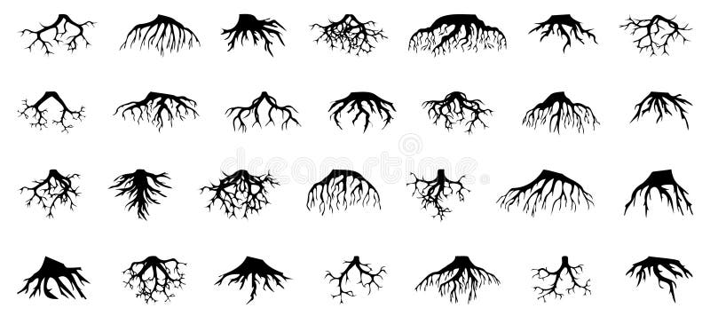 Tree Roots Silhouette Collection. Set of Black Tree Roots Silhouettes ...