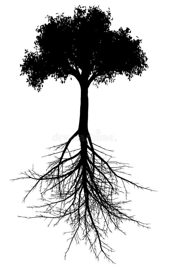 Tree with roots silhouette stock vector. Illustration of black - 89936816