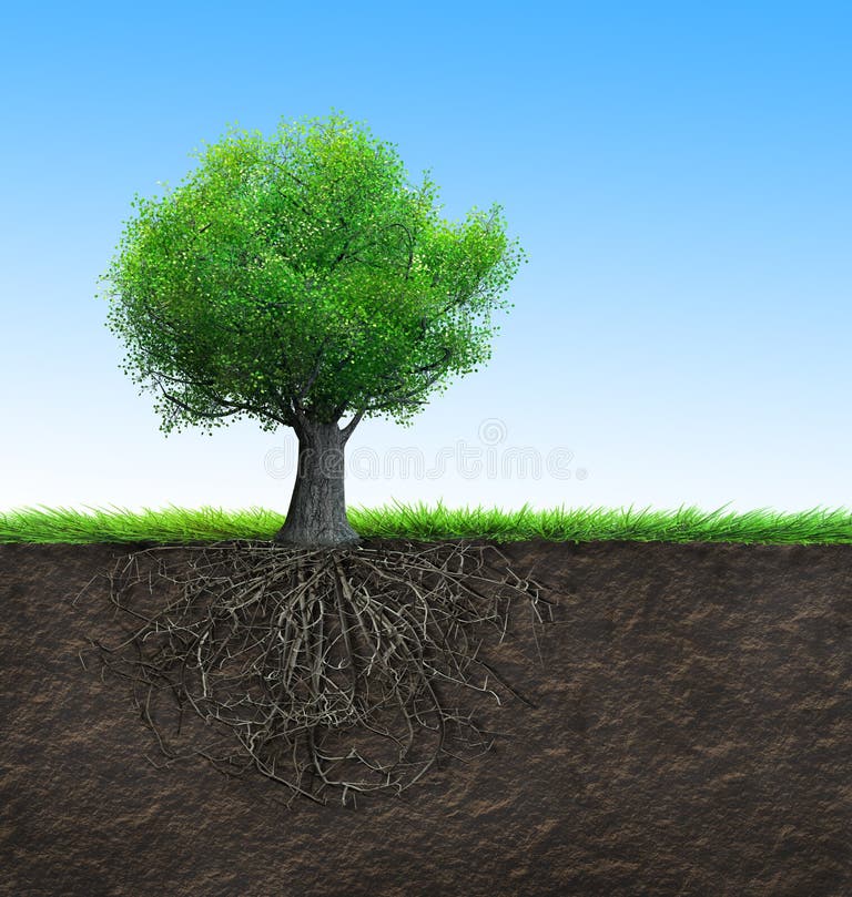 Tree Roots Soil Stock Illustrations – 9,586 Tree Roots Soil Stock ...