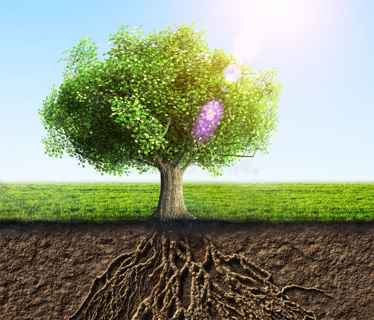 Tree Roots Soil Stock Illustrations – 9,586 Tree Roots Soil Stock ...