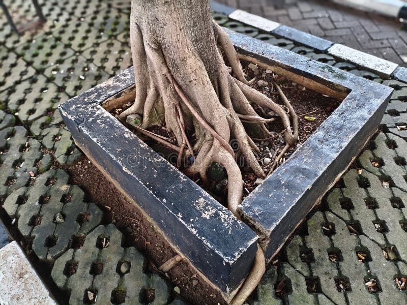 Concrete Plante Stock Photos - Free & Royalty-Free Stock Photos from ...