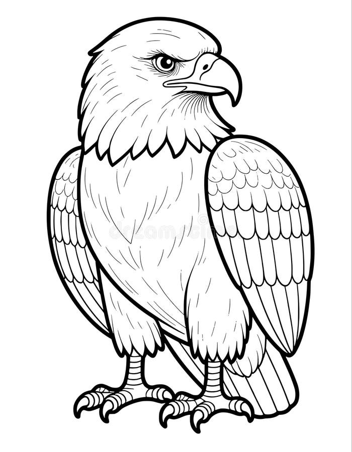 Tree Roots System Underground Structure Nature Pattern Stock ...