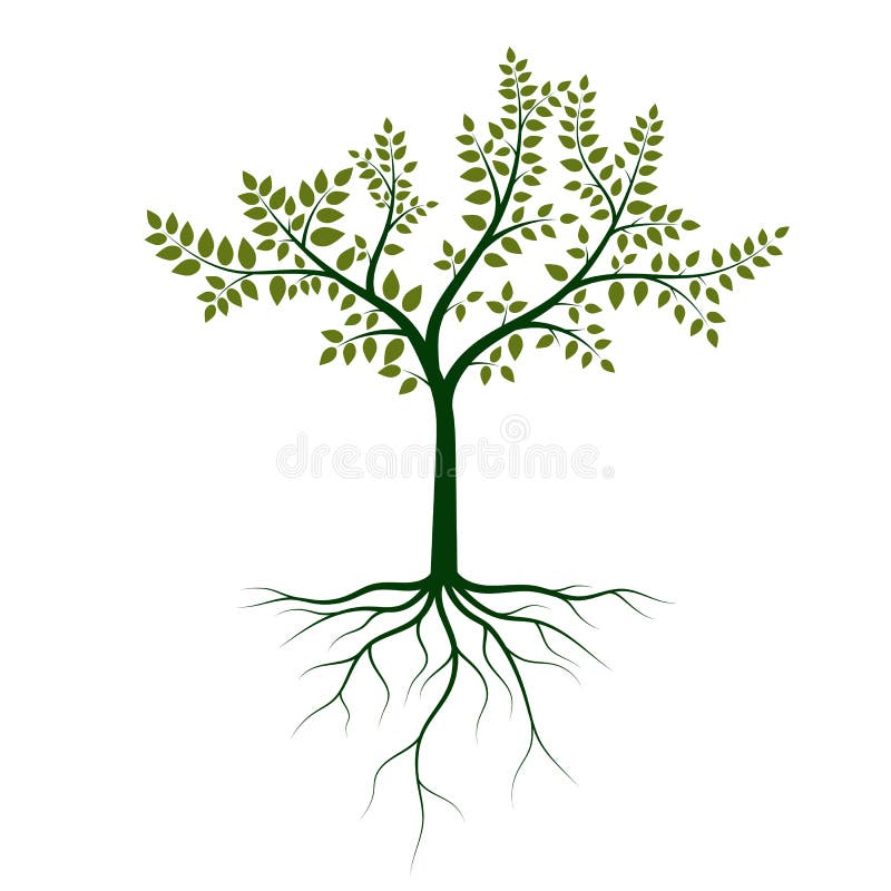 Tree with Roots Vector Design Illustration Stock Vector - Illustration ...