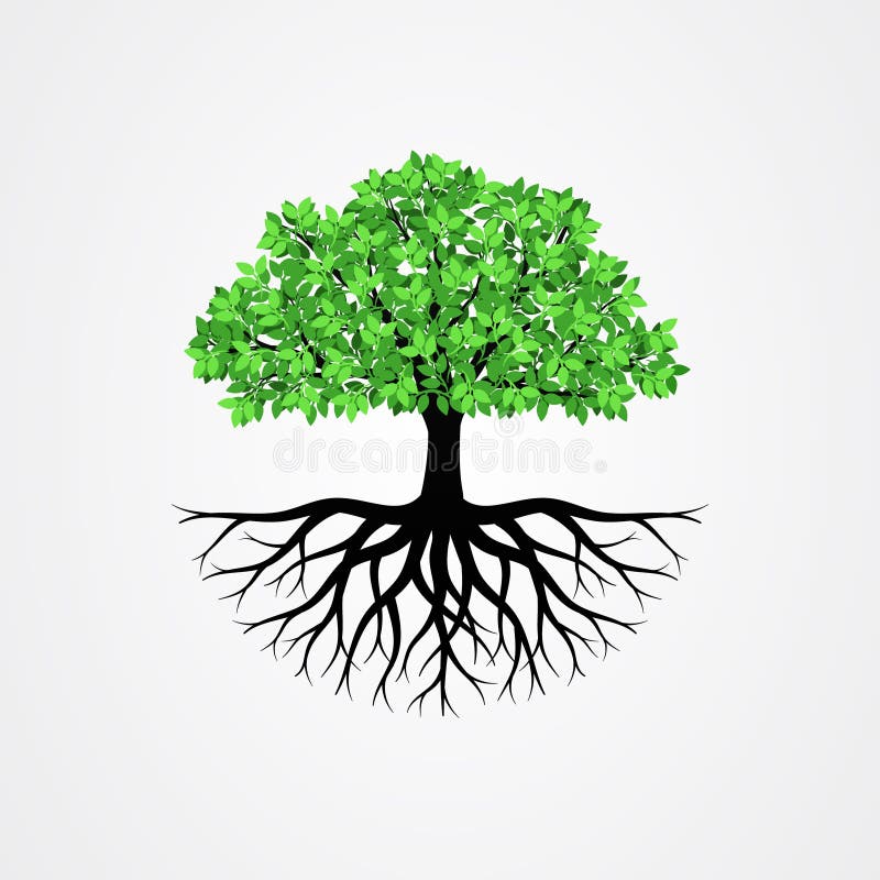Tree with the Roots Vector Illustration Stock Vector - Illustration of ...