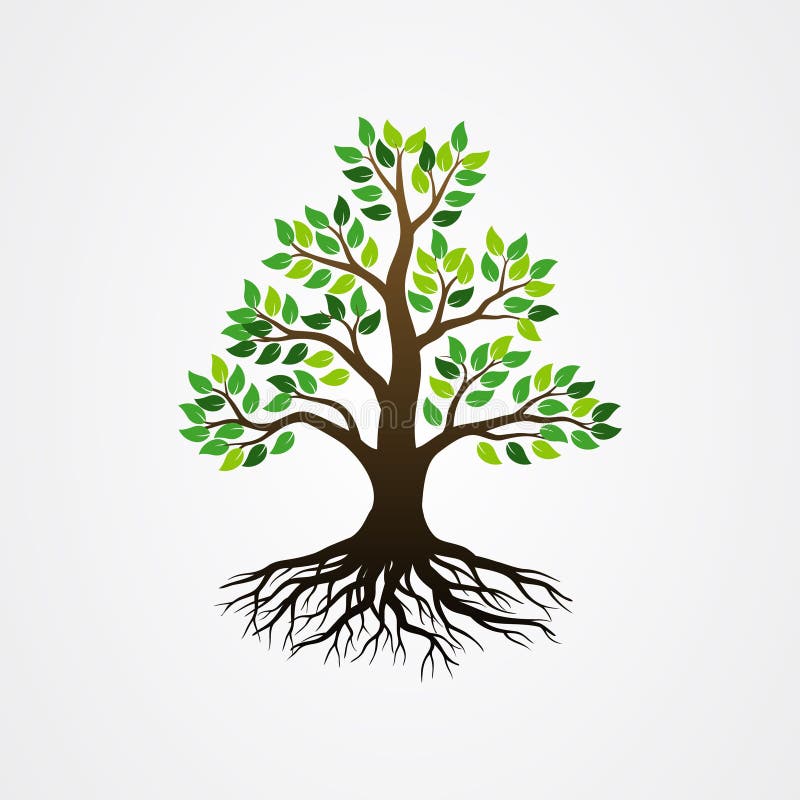 Tree with the Roots Vector Illustration Stock Vector - Illustration of ...
