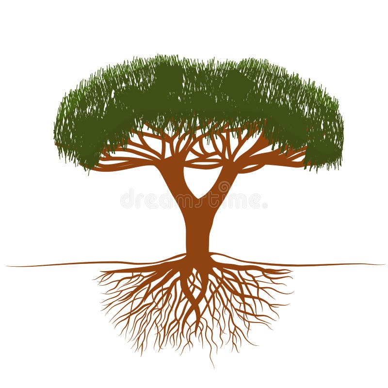 Tree with roots stock illustration. Illustration of single - 49824487
