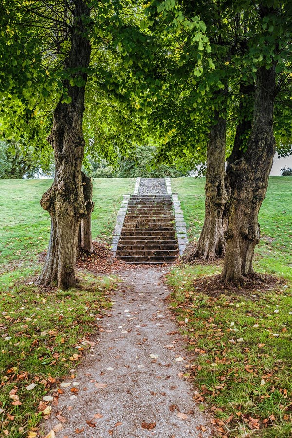 Tree Row Avenue at Hald Lake in Dollerup, Denmark Stock Photo - Image ...