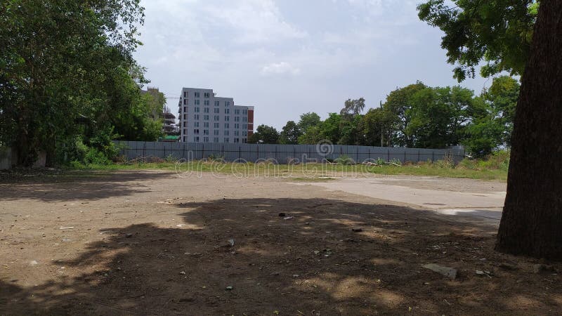 Tree S Shade in a Hot Summer Stock Image - Image of tree, suburb: 221788019