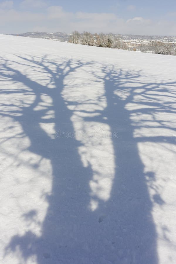 A Tree`s Shadow on the Snow Stock Photo - Image of freeze, september ...
