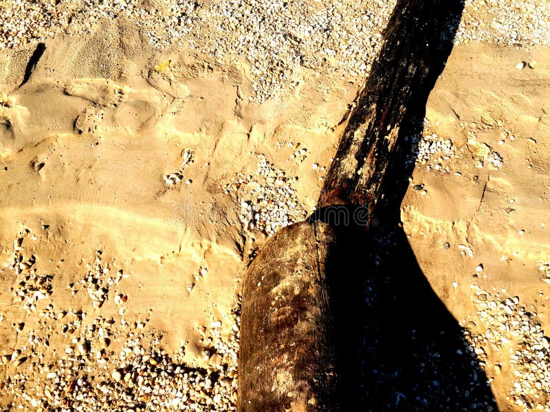 Sand Barito Stock Photos - Free & Royalty-Free Stock Photos from Dreamstime