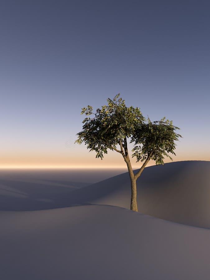 Tree on Sand Dunes stock illustration. Illustration of barren - 12177085