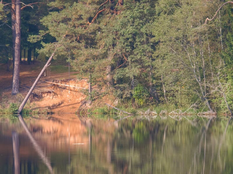 Tree and Sandstone Cliff, Water Glare Stock Photo - Image of cliff ...