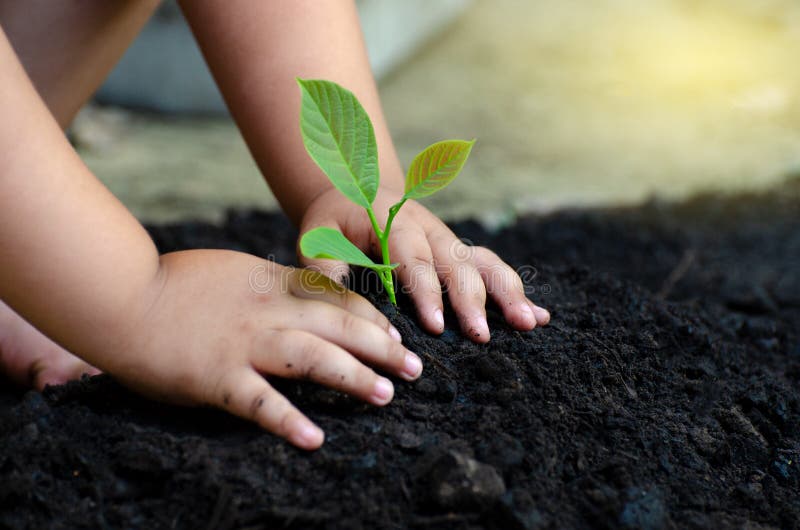 Children and Parent Holding Young Tree in Hands for Planting Stock ...