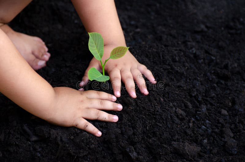 Tree Sapling Baby Hand on the Dark Ground, the Concept Implanted ...