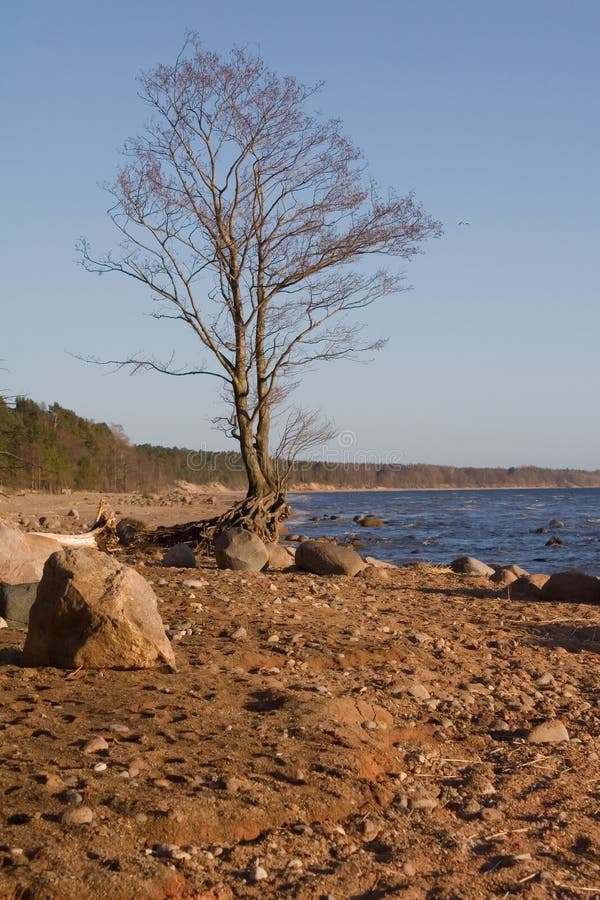 Sea Picture. Image: 162501905