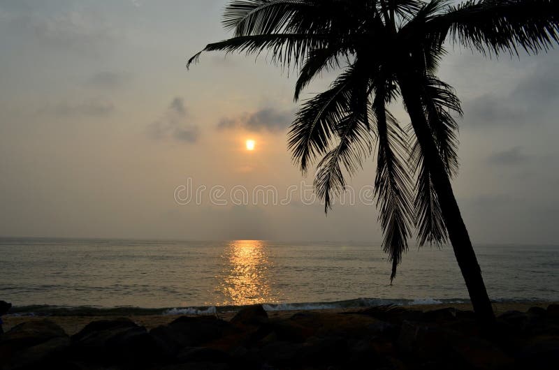 Tree by the Sea stock image. Image of rocks, tree, tilted - 170417303