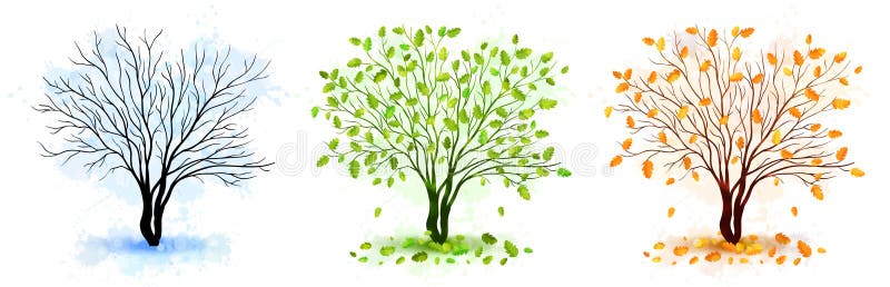 Seasons of tree vector stock vector. Illustration of summer - 84896779