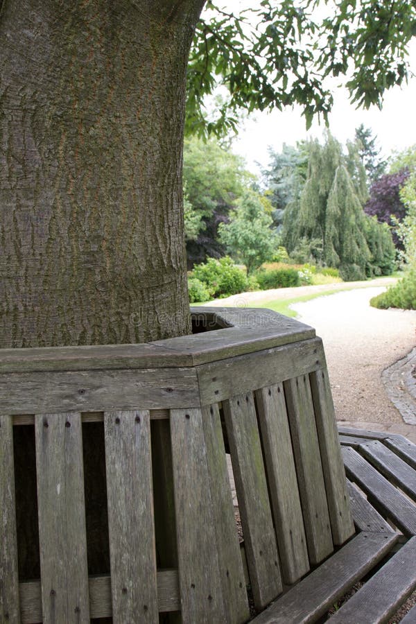 Tree with Seat and Garden Beyond Stock Photo - Image of wooden ...