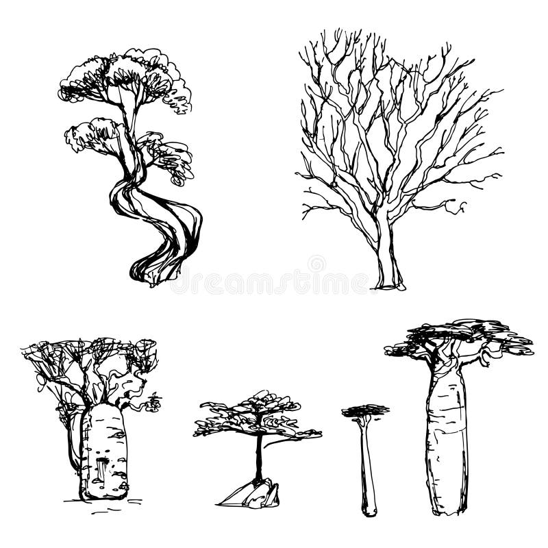 Tree Set Sketch stock vector. Illustration of environment - 54383101