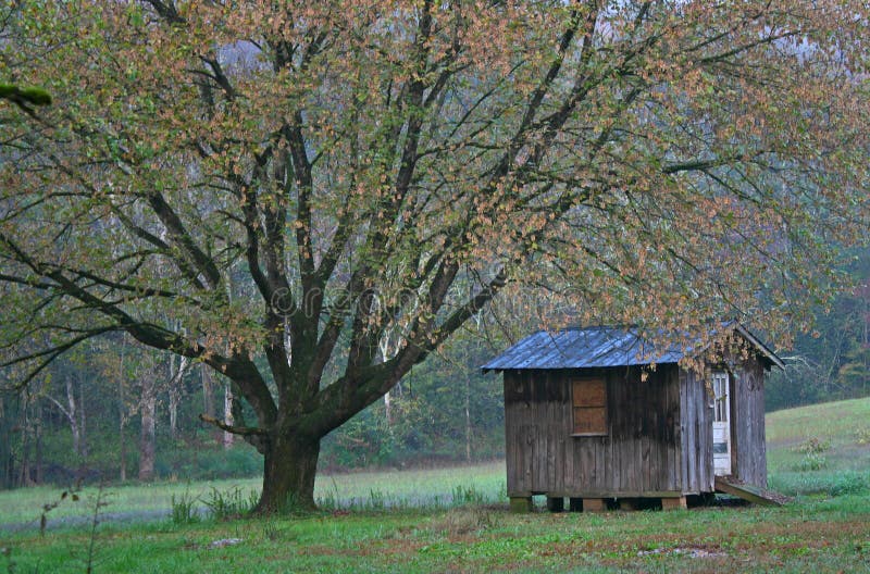 Shack with Green Roof stock photo. Image of agriculture - 46555710