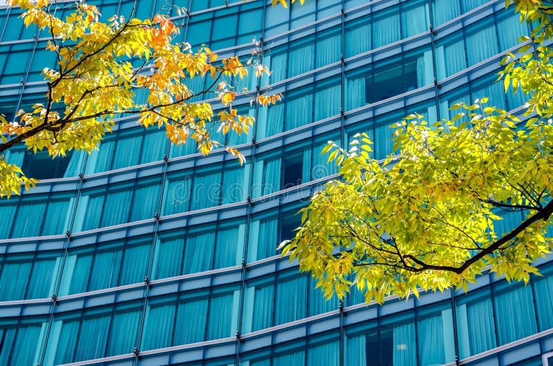 Tree Shade and Building in Business Zone Stock Photo - Image of bench ...