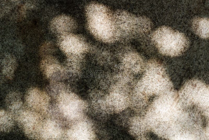 Tree shade stock image. Image of dark, shadow, shade - 100404437