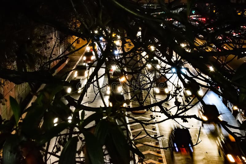 Tree shade shadow stock image. Image of paulo, freedom - 125694949