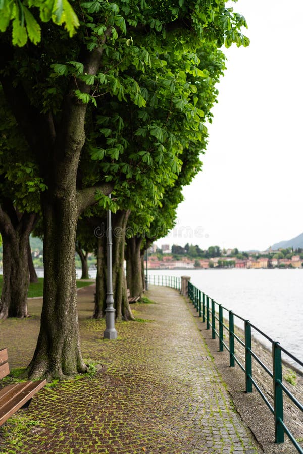 Tree Shaded Bench Overlooking Scenic Lakeside View Stock Photos - Free ...