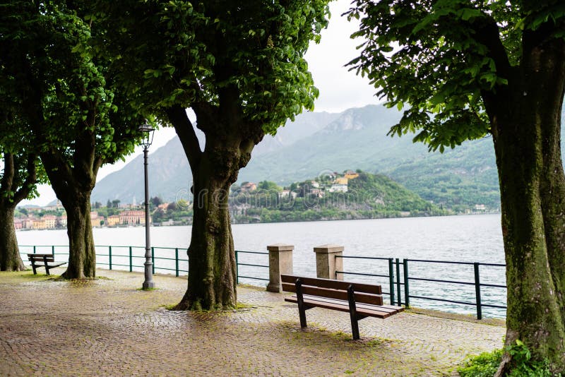 Tree-Shaded Bench Overlooking Scenic Lakeside View Stock Photo - Image ...